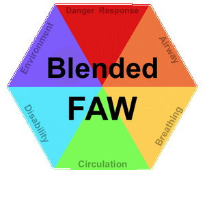 2+1 Blended First Aid at Work – Marlin Training Ltd